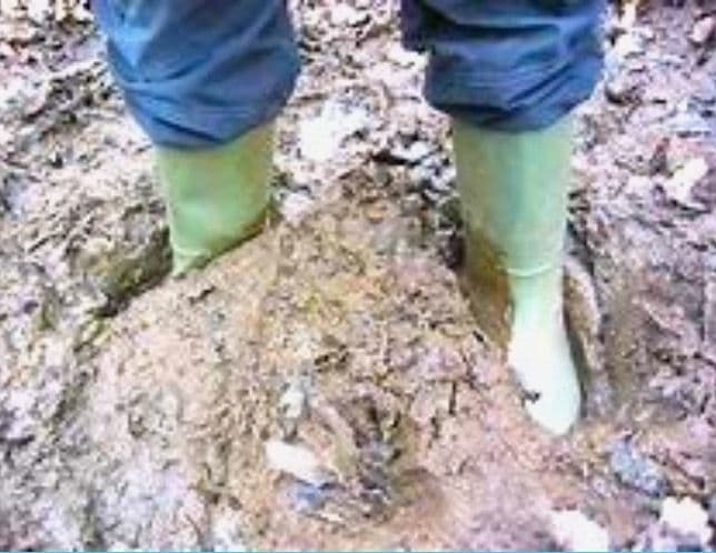 MuckMat — Never Sink in Muck Again! | LakeMat